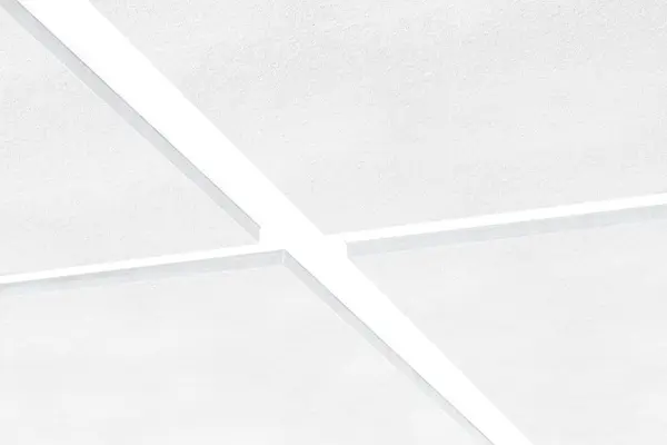 Ecophon Advantage | マグ・イゾベール(株)