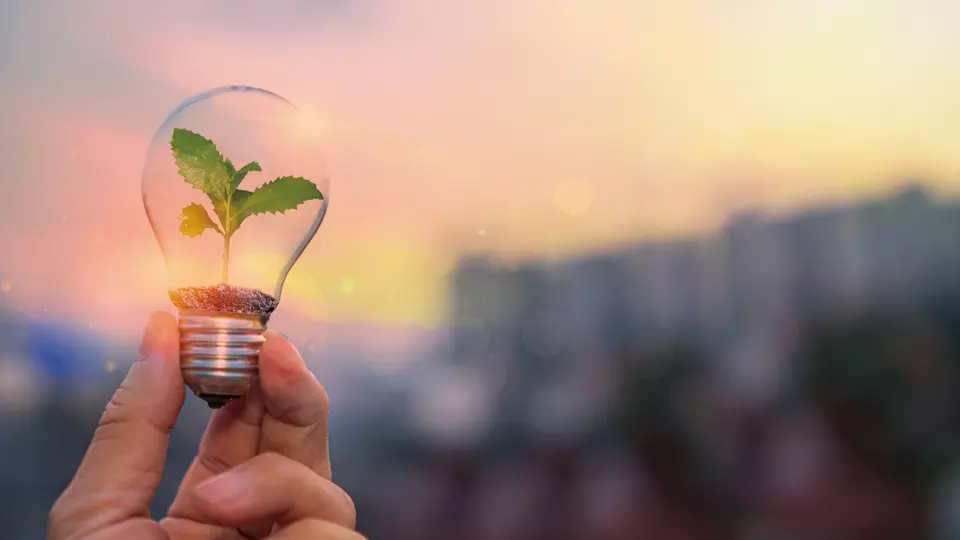 ALKとALGCの違いについて教えてください。 | マグ・イゾベール(株)